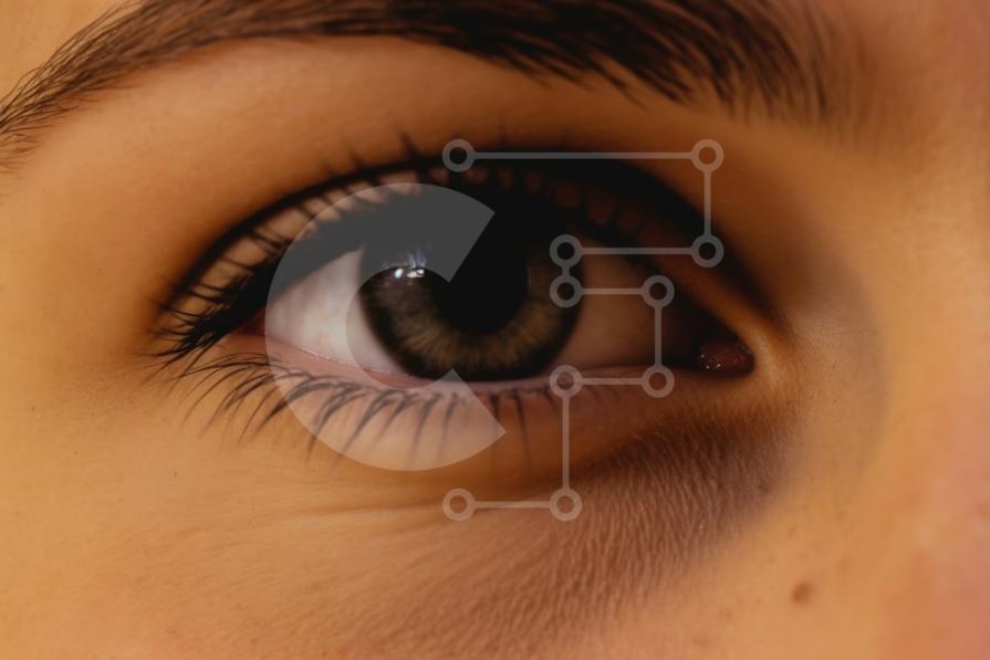 Beautiful Close-up Image of a Woman's Eye with Long Eyelashes stock ...