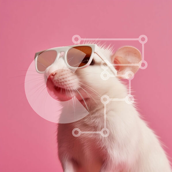 Download Cool Rat with Shades on Trendy Pink Background Stockphotos ...