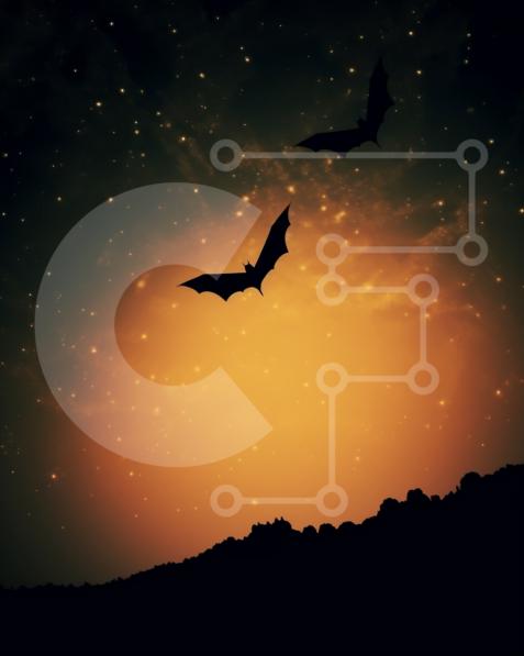 Stunning Image of Bats Flying in the Night Sky stock photo | Creative ...
