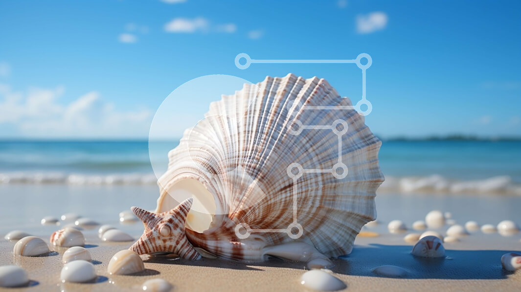 Download Beautiful Seashell on the Sandy Beach Stockphotos Online ...