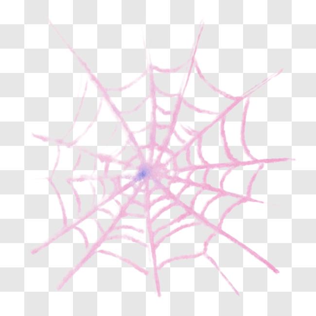 Download Delicate and Intricate Pink Spider Web - Abstract Photography ...