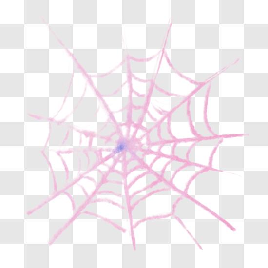 Cobweb PNG - Download Free & Premium Transparent Cobweb PNG Images ...