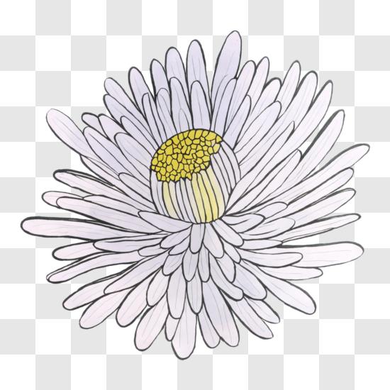 Pollen PNG - Download Free & Premium Transparent Pollen PNG Images ...