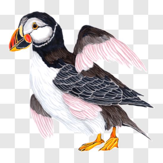 Puffin PNG - Download Free & Premium Transparent Puffin PNG Images ...