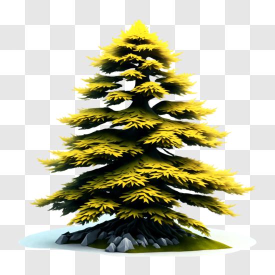 Arborvitae PNG - Download Free & Premium Transparent Arborvitae PNG ...