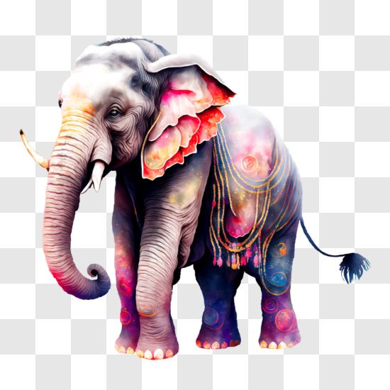 Asian Elephant PNG - Download Free & Premium Transparent Asian Elephant ...