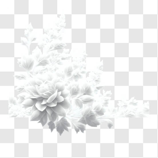 White Floral Lace Overlay PNG - Download Free & Premium Transparent ...