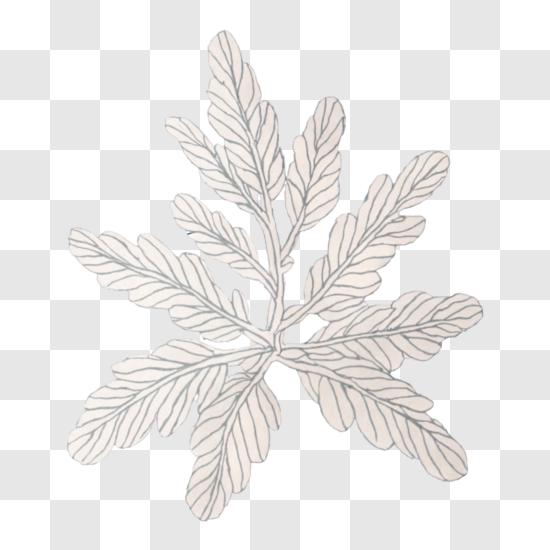 Small Plant PNG - Download Free & Premium Transparent Small Plant PNG ...