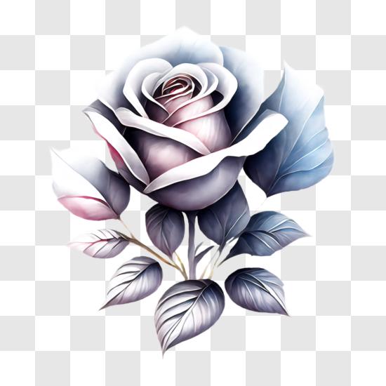 Silver Rose PNG - Download Free & Premium Transparent Silver Rose PNG ...