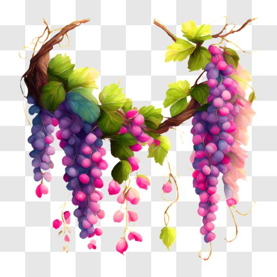 Hanging Vine PNG - Download Free & Premium Transparent Hanging Vine PNG ...