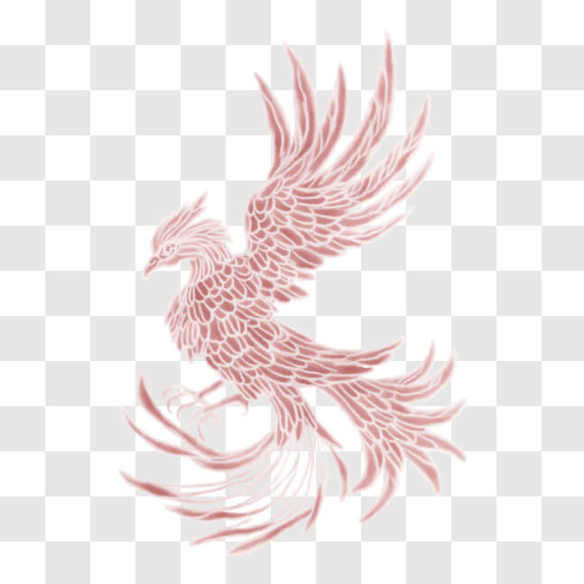 Download Stylized Phoenix Bird in Pink and White PNGs Online - Creative Fabrica