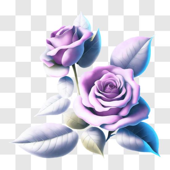 Tea Rose PNG - Download Free & Premium Transparent Tea Rose PNG Images ...