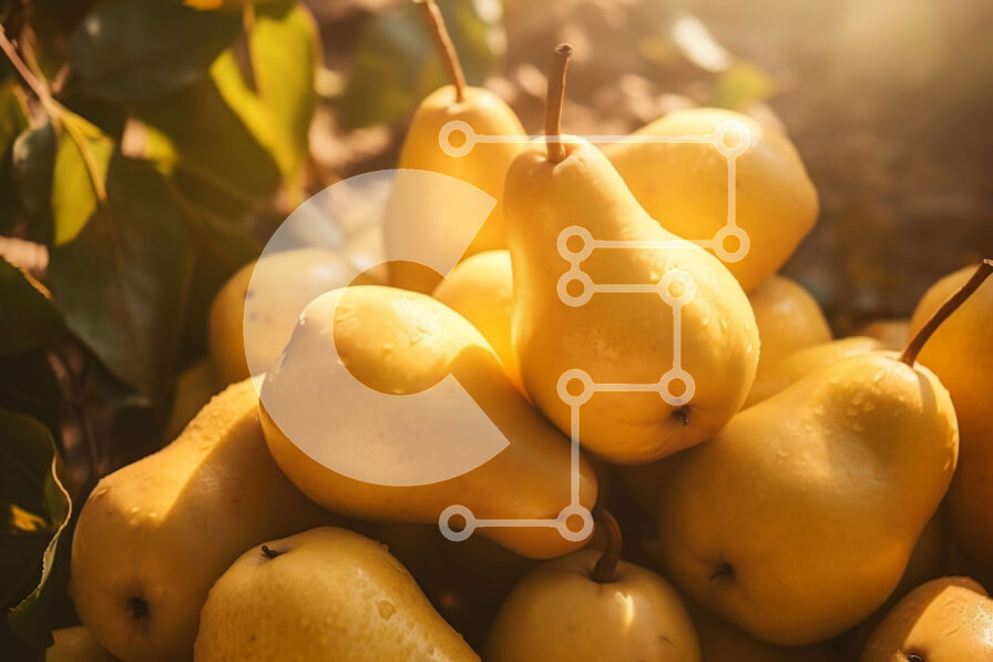Download Stack of Ripe Yellow Pears Stockphotos Online - Creative Fabrica