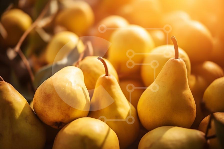 Stack of Ripe Yellow Pears stock photo | Creative Fabrica
