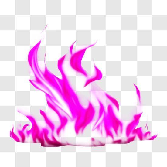 Pink Fire PNG - Download Free & Premium Transparent Pink Fire PNG ...