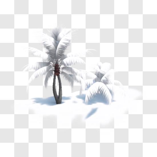 White Palm Tree Png