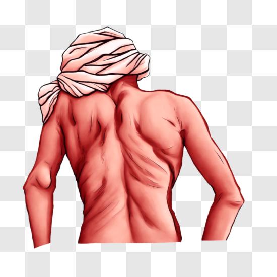 Human Back PNG - Download Free & Premium Transparent Human Back PNG ...