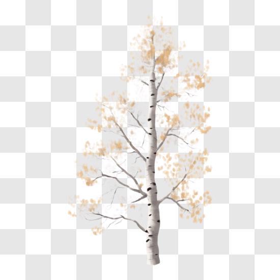 Tremble PNG - Téléchargez des Images Tremble PNG PNG Transparentes ...