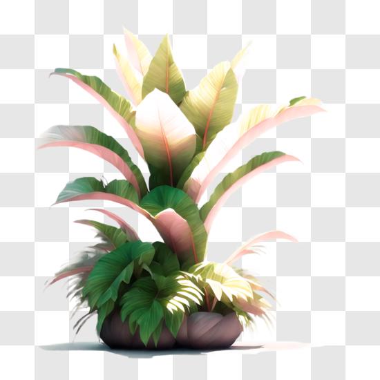 Outdoor Plant PNG - Download Free & Premium Transparent Outdoor Plant ...
