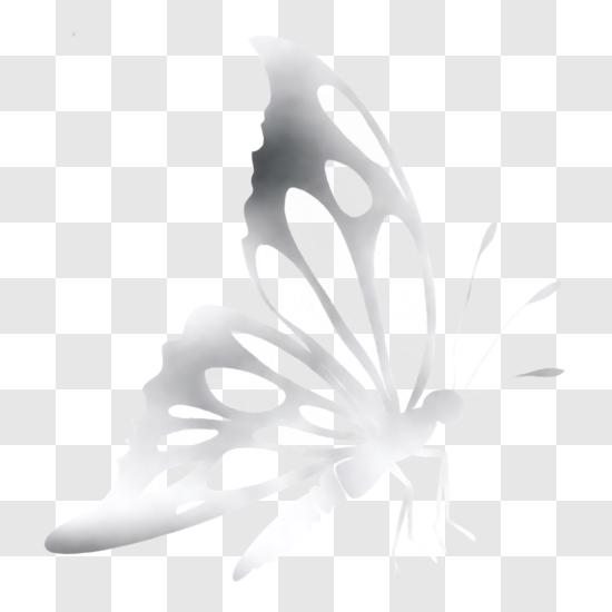 Silver Butterfly PNG - Download Free & Premium Transparent Silver ...