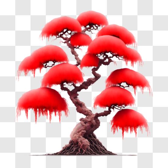 Dwarf Japanese Maple PNG - Download Free & Premium Transparent Dwarf ...