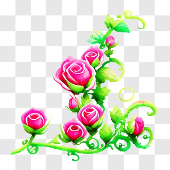 Rose Vine Border PNG - Download Free & Premium Transparent Rose Vine ...