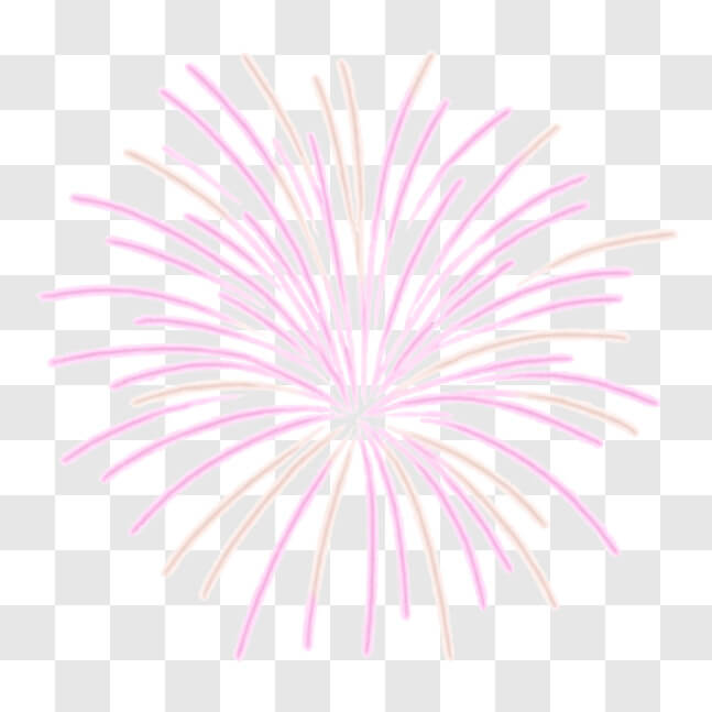 Download Pink Firework Exploding in the Air PNGs Online - Creative Fabrica