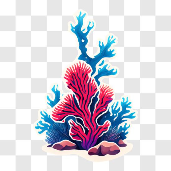 Corail PNG - Téléchargez des Images Corail PNG PNG Transparentes ...