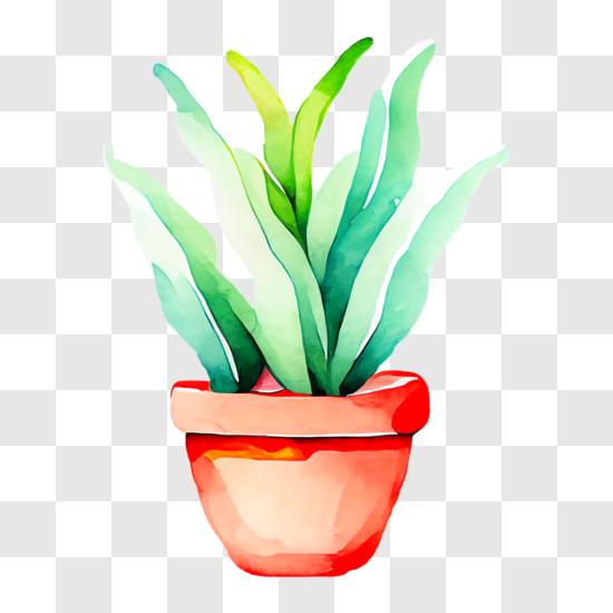 Cute Plant PNG - Download Free & Premium Transparent Cute Plant PNG ...