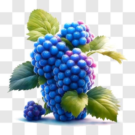 Blue Raspberry PNG - Download Free & Premium Transparent Blue Raspberry ...