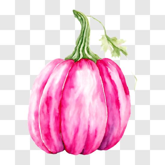 Pink Pumpkin PNG - Download Free & Premium Transparent Pink Pumpkin PNG ...