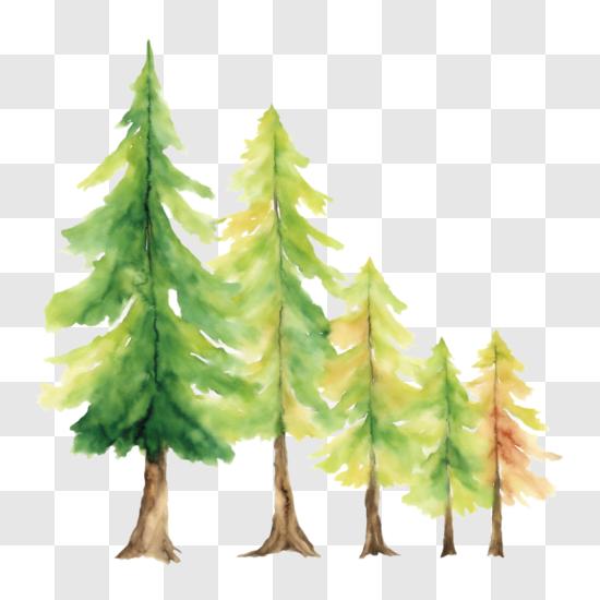 Tree Line PNG - Download Free & Premium Transparent Tree Line PNG ...