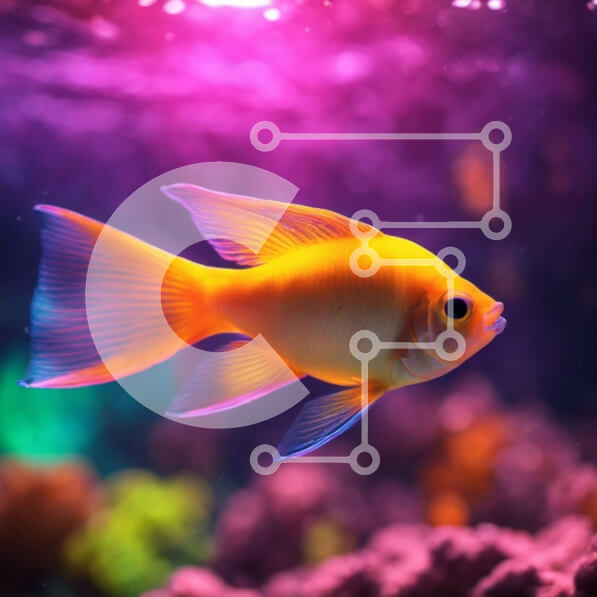 Download Bright Orange Fish Swimming in Aquarium with Colorful Coral ...