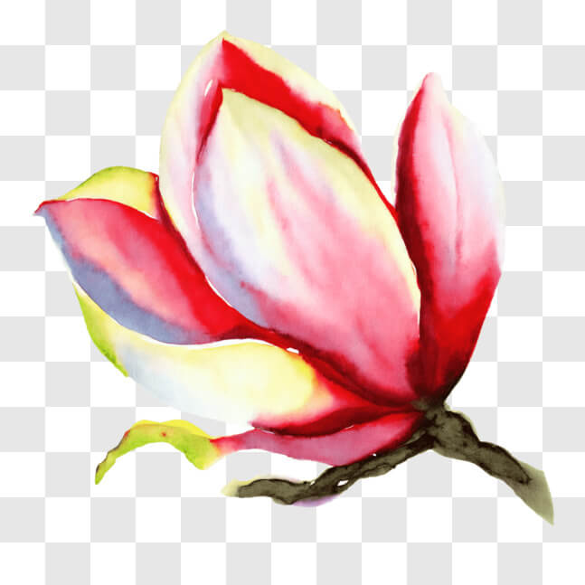 Flor PNG - Descarga Imágenes Flor PNG Transparentes Prémium y Gratis En ...
