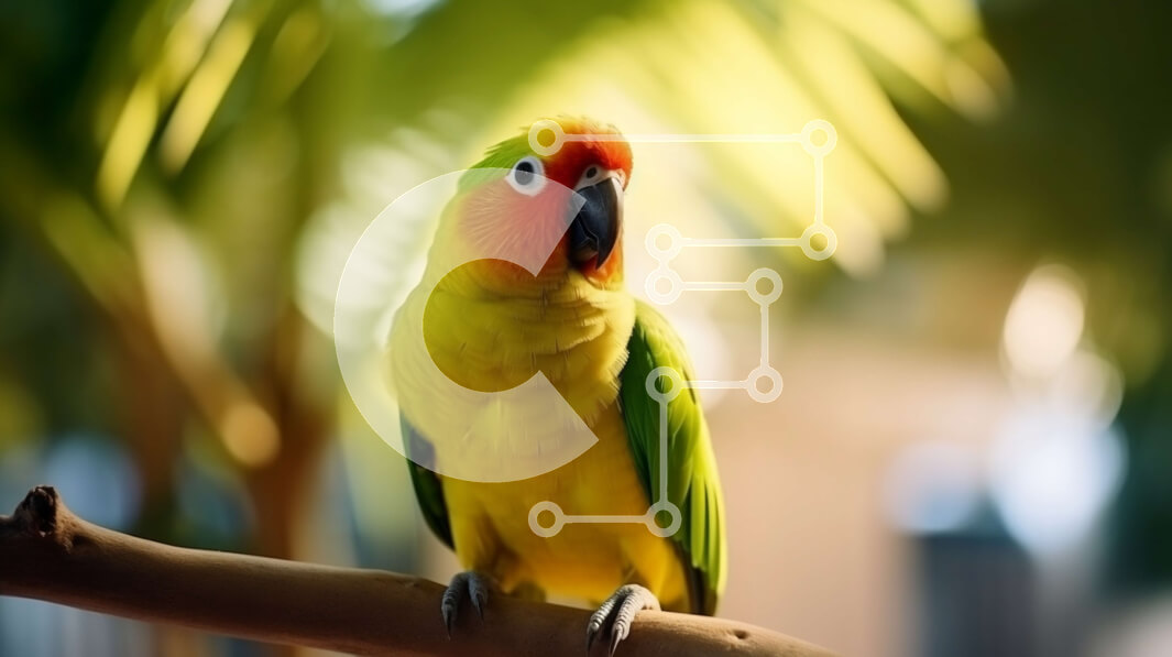 Beautiful Colorful Parrot on Tree Branch stock photo | Creative Fabrica