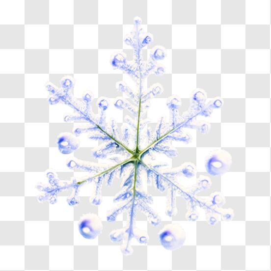 Snowflake PNG - Download Free & Premium Transparent Snowflake PNG ...