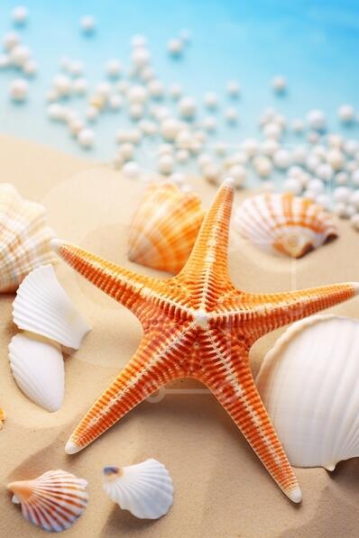 Beach Scene with Starfish and Seashells stock photo | Creative Fabrica