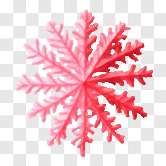 Download Pink Snowflake on Black Background - Winter Decor PNGs Online ...