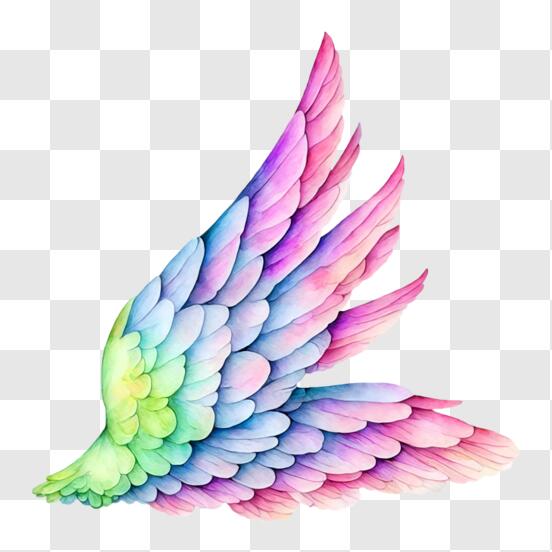 Wing PNG - Download Free & Premium Transparent Wing PNG Images Online ...