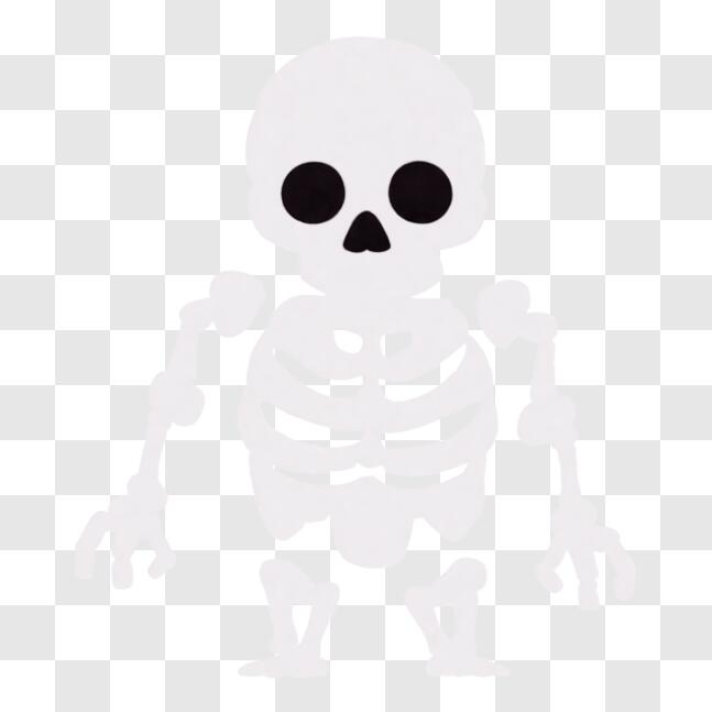 Download White Skeleton Decoration for Halloween or Educational ...