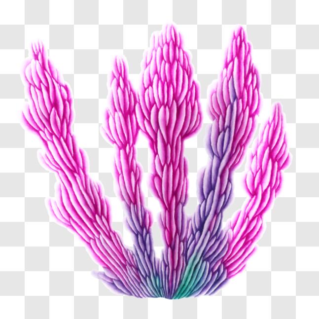Download Vibrant Pink and Purple Seaweed - Nature Photography PNGs ...