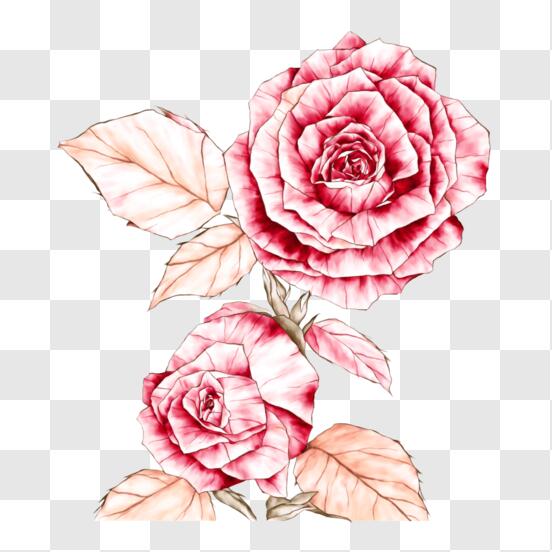 Deceased Stamp PNG - Download Free & Premium Transparent Deceased Stamp ...
