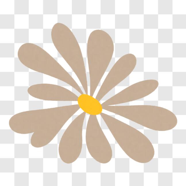 Download Beige Daisy Flower on Black Background PNGs Online - Creative ...