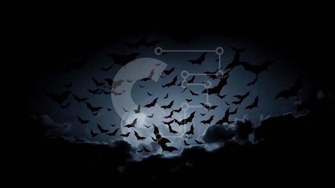 Group of Bats Flying with Moon in Dark Sky stock photo | Creative Fabrica