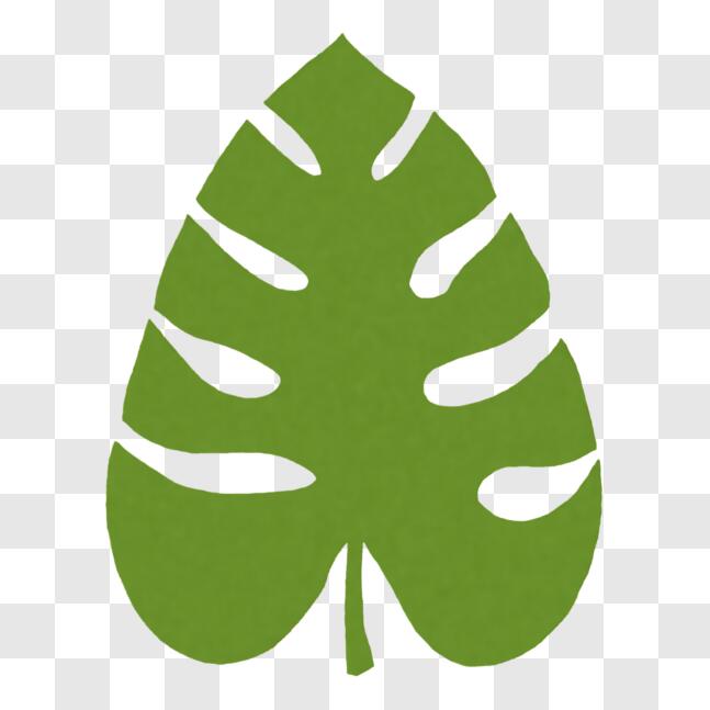 Download Green Leaf Cutout on Black Background PNGs Online - Creative ...