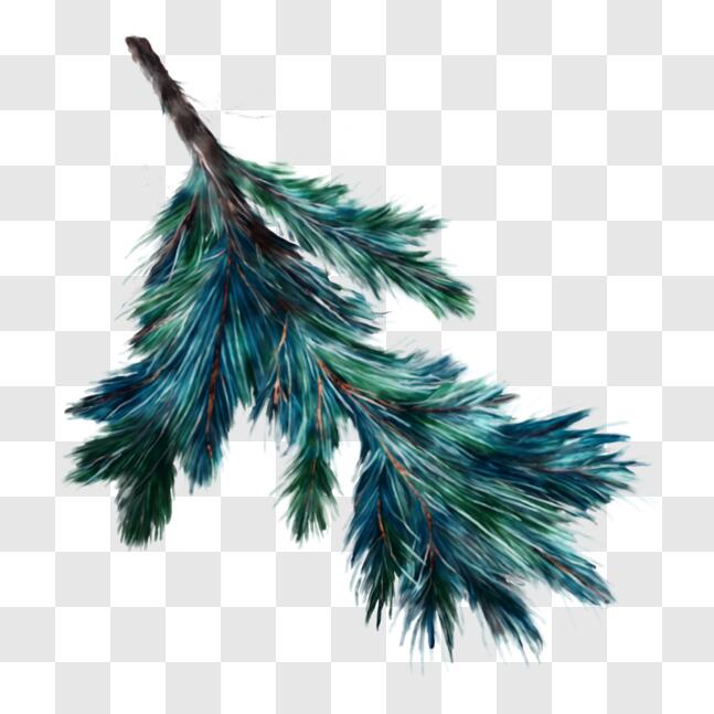 Download Blue Pine Branch with Green Needles PNGs Online - Creative Fabrica