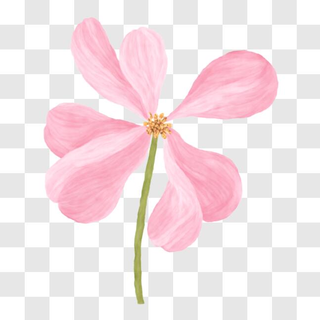 Download Hand-painted Pink Flower PNGs Online - Creative Fabrica