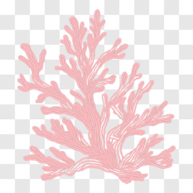 Download Pink Coral Image PNG Online - Creative Fabrica