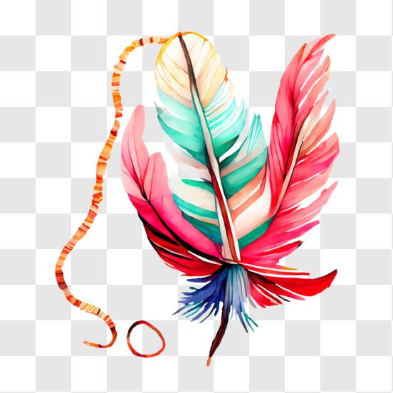 Feather Hanging From A String PNG - Download Free & Premium Transparent ...