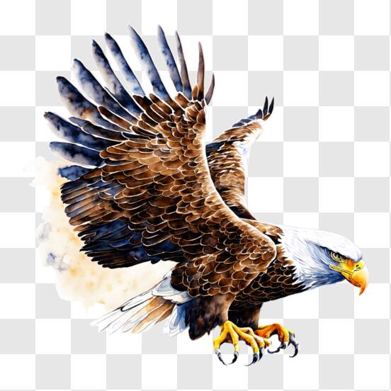 Download Beautiful Eagle Perched on a Branch with Watercolor Splashes ...
